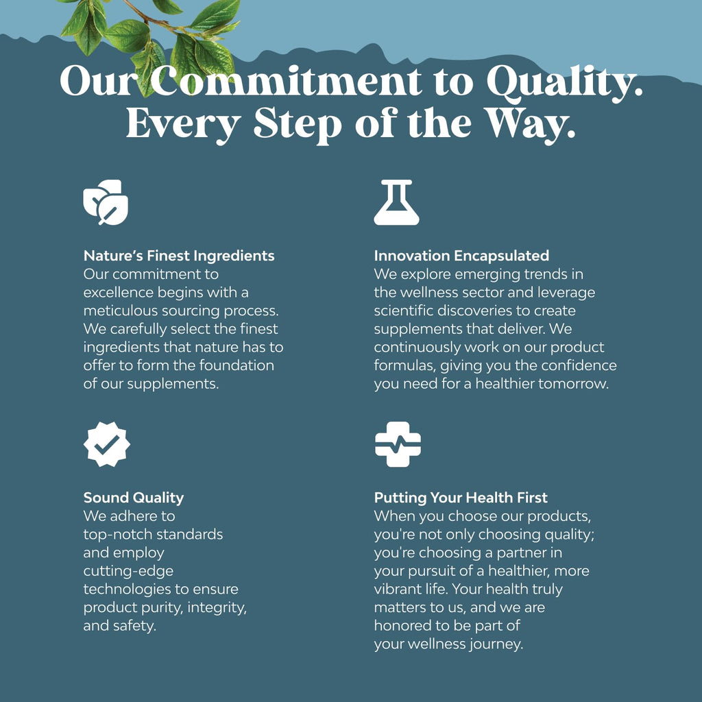 Vision Support gummies for daily wellness