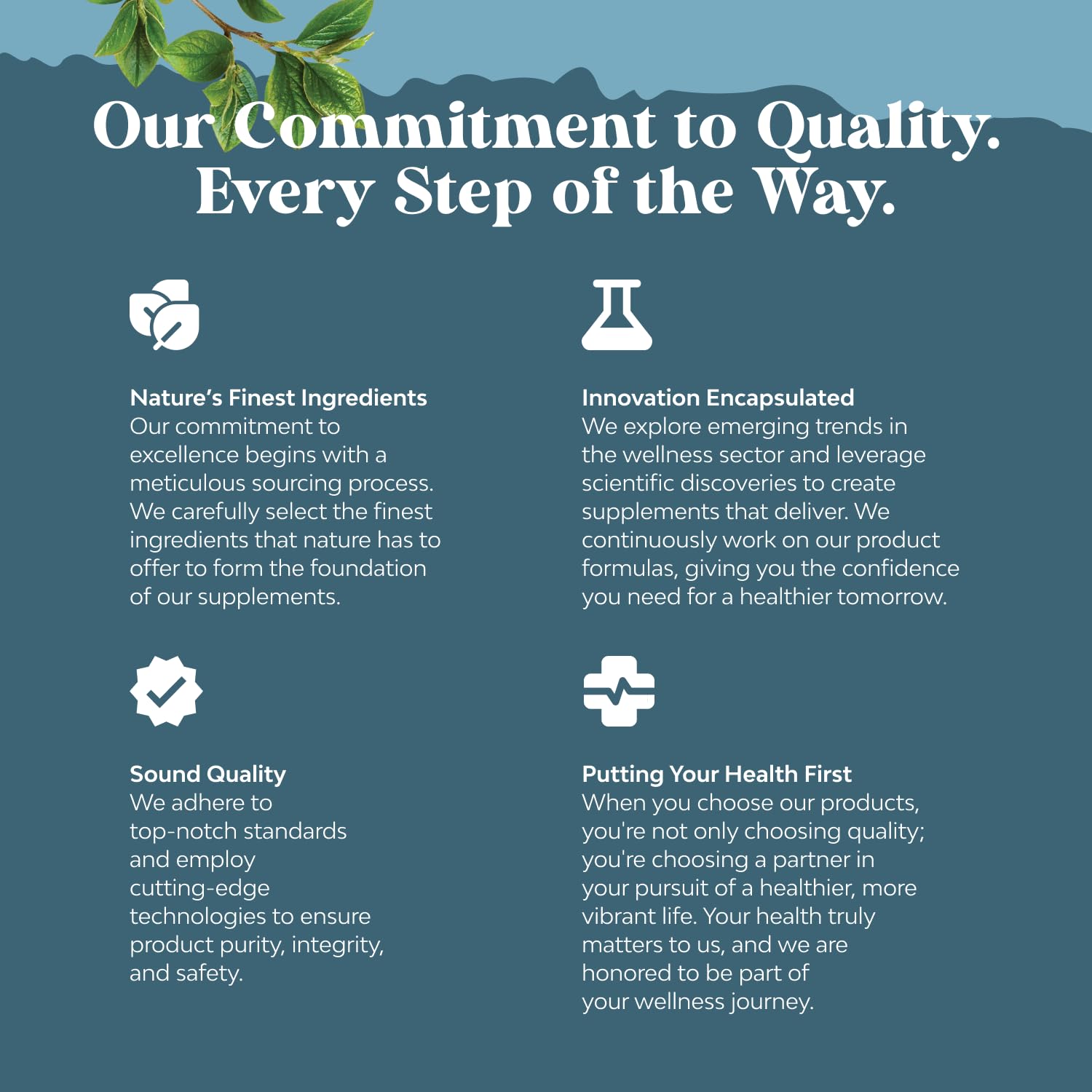 Vision Support gummies for daily wellness