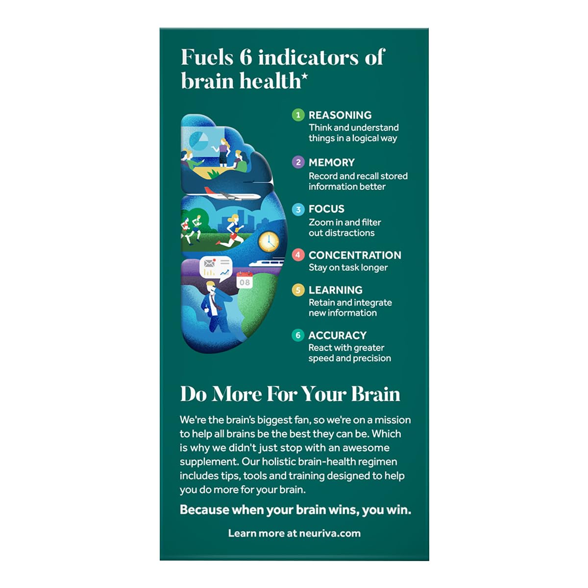 VIT B6 and B12 for brain function