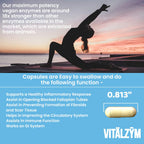 VITÄLZYM digestive enzymes for bloating relief