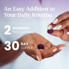 Vita Globe 60 count gummy vitamins