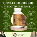 Vita Green mushroom supplement for vitality