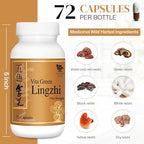 Vita Green reishi for better sleep
