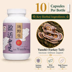 Vita Green turkey tail capsules