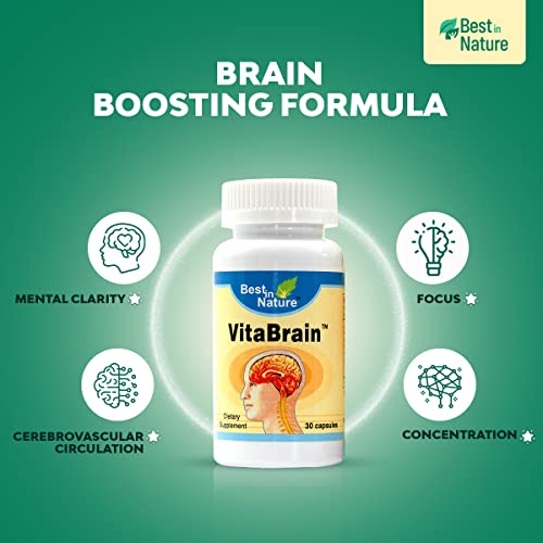 VitaBrain ginkgo biloba for cognitive health