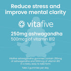 vitafive vitamin B12 gummies for energy boost