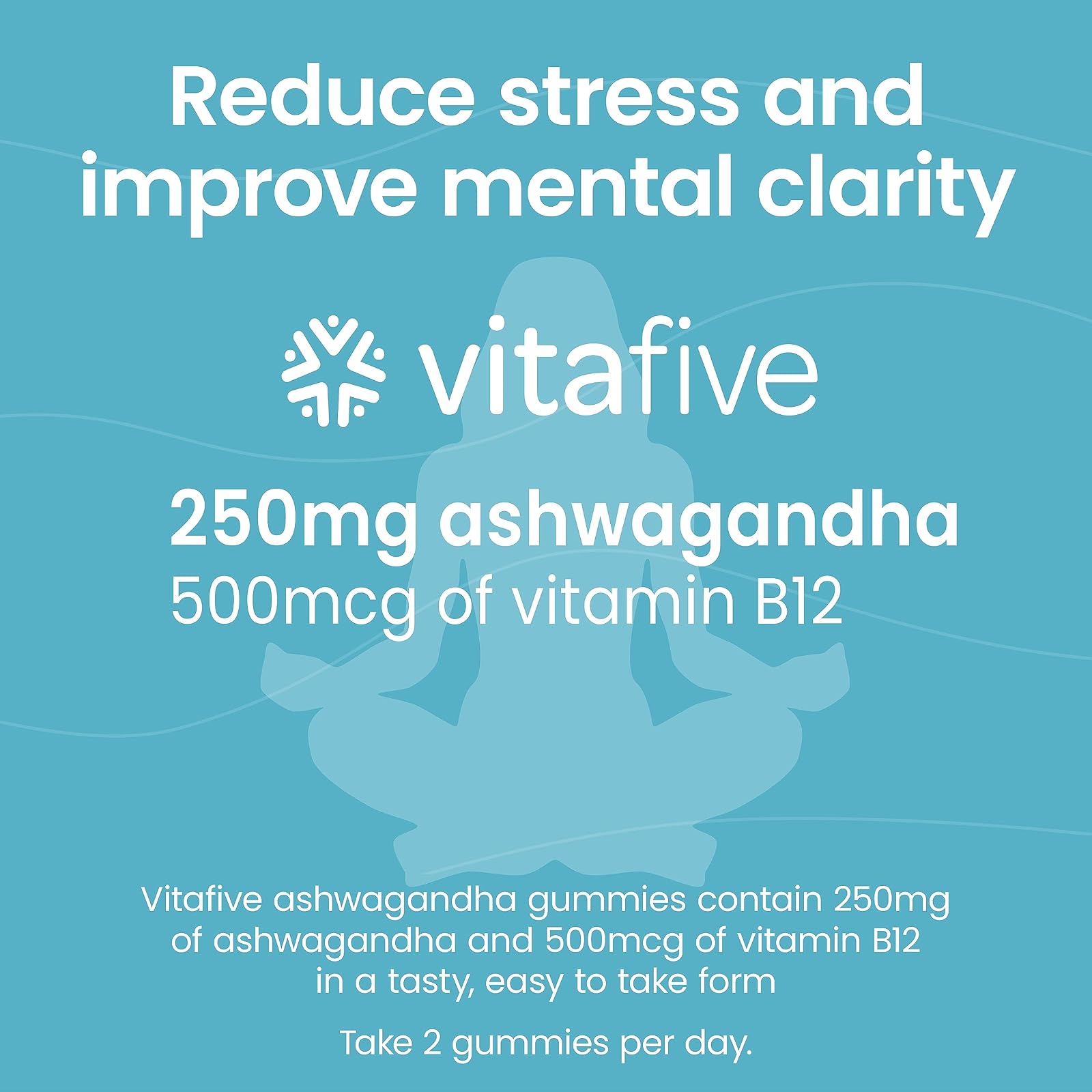 vitafive vitamin B12 gummies for energy boost
