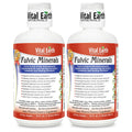 Vital Earth fulvic minerals liquid benefits