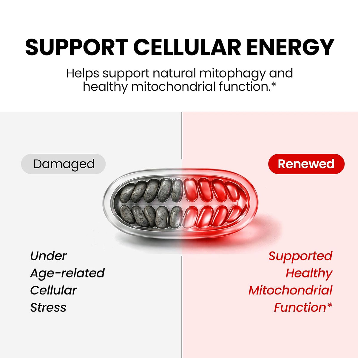 Vital Longevity softgels for vitality