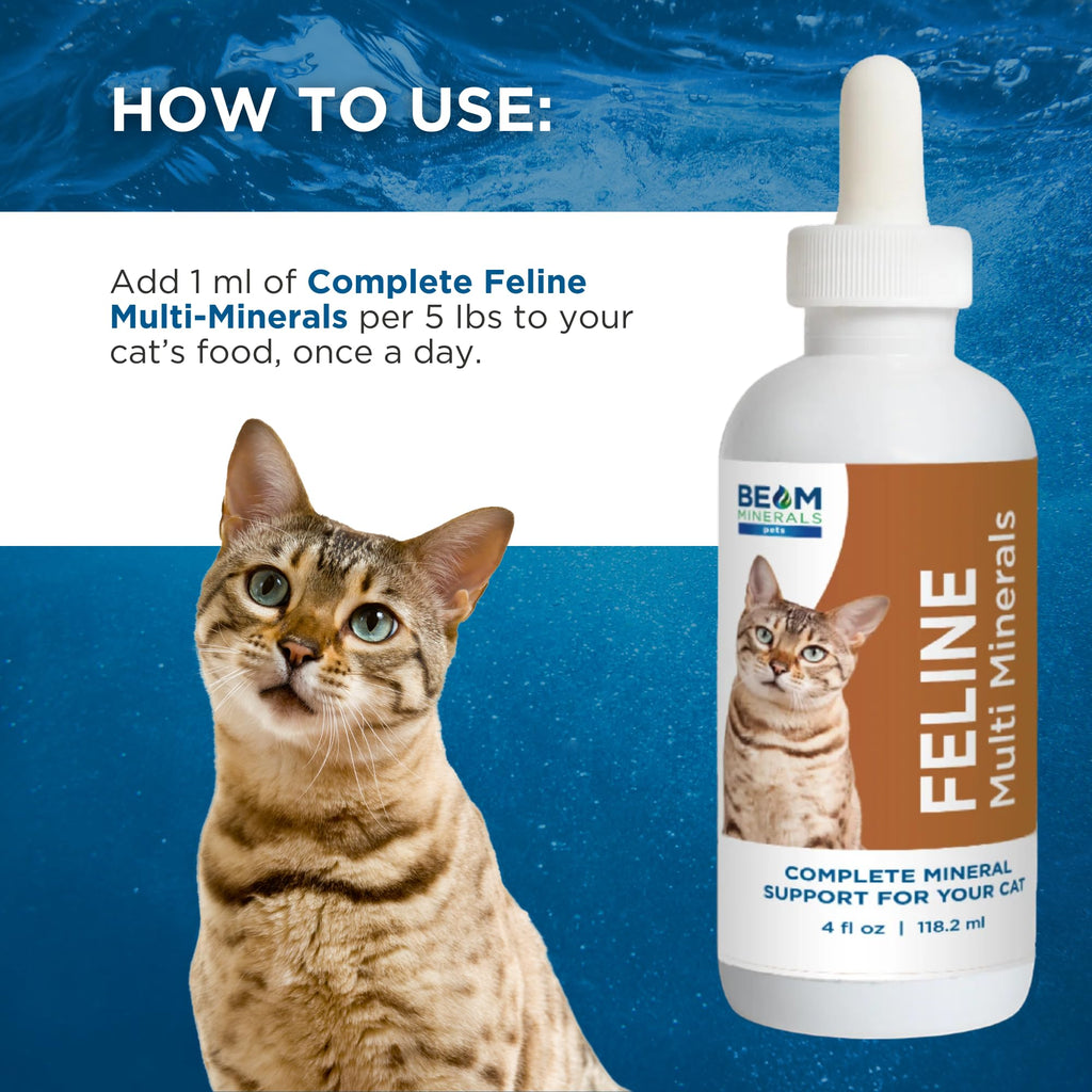 vital minerals for active cats