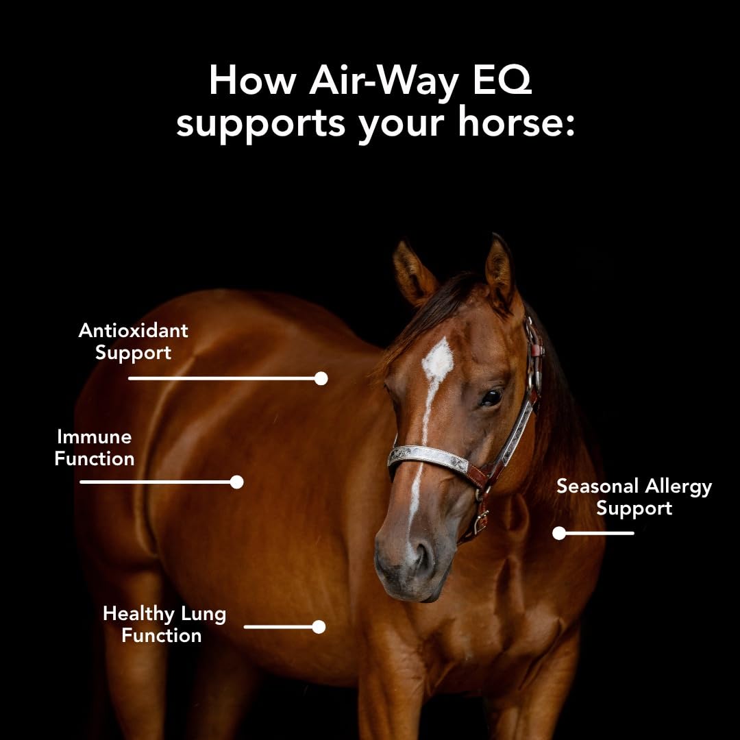 vital minerals for horse performance