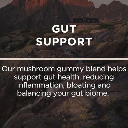 Vital Mushroom complex for brain health