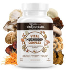 Vital mushroom complex for wellness