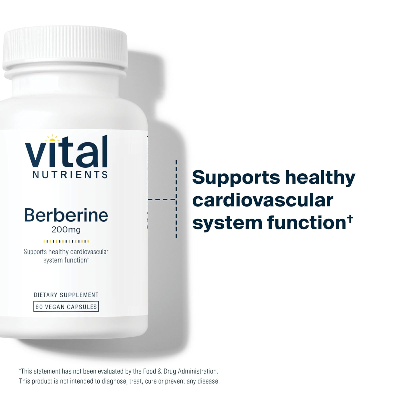 vital nutrients berberine for overall health