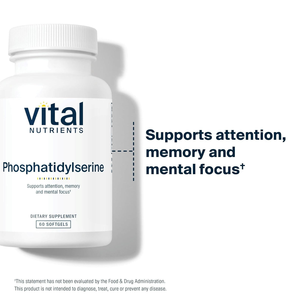 Vital Nutrients choline supplement for memory enhancement
