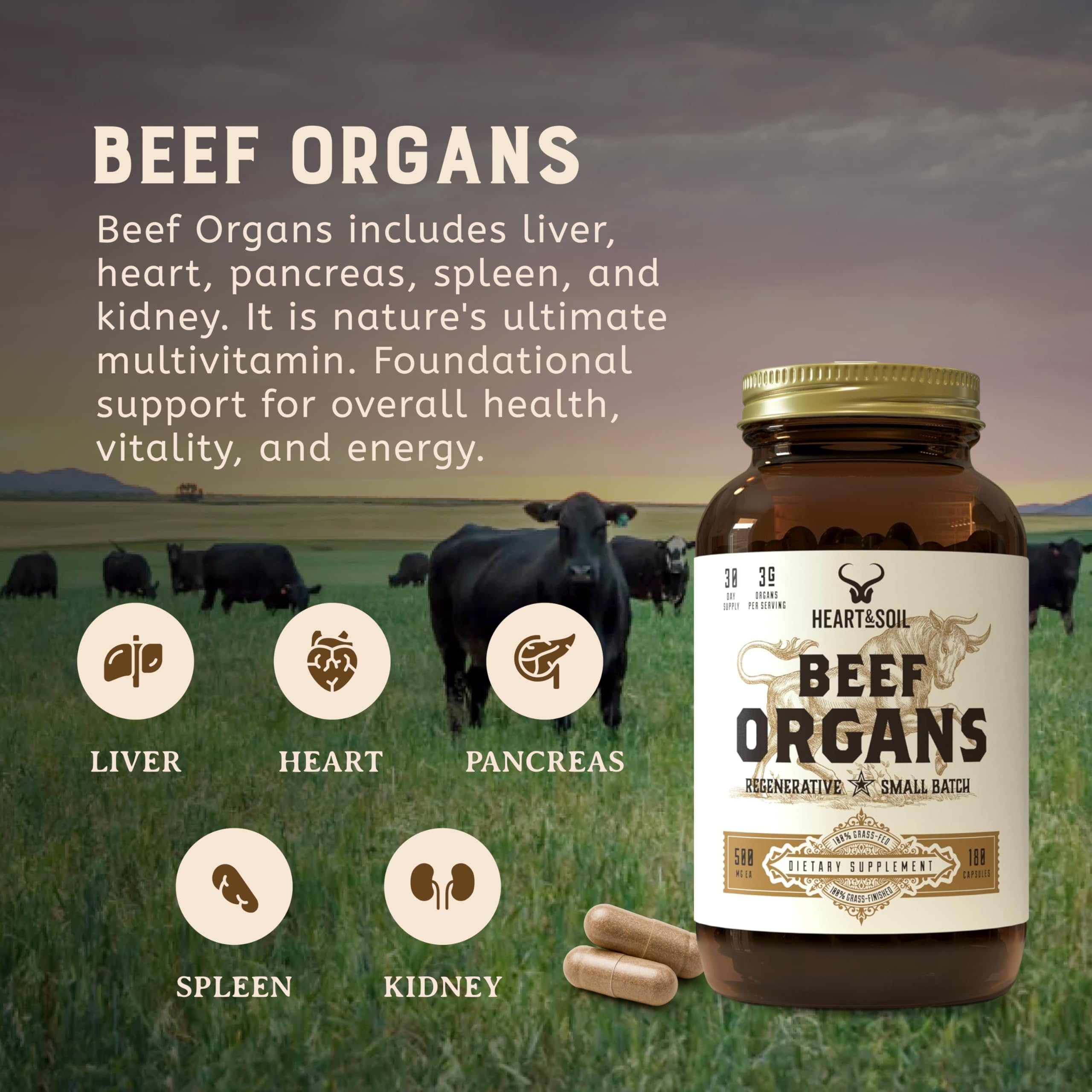vital nutrients from organ supplements