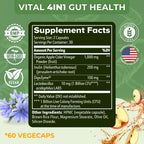 VITAL NUTRITIVE enzyme blend benefits