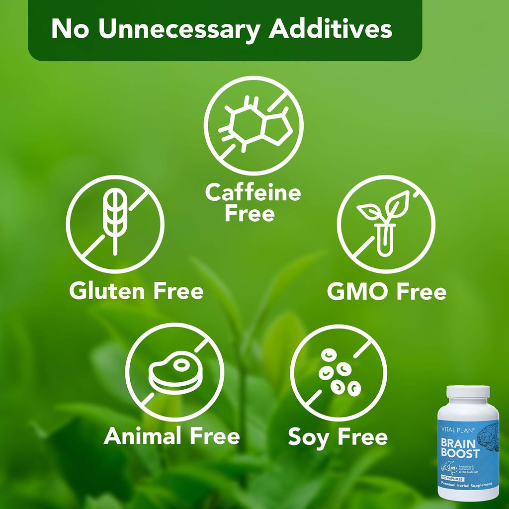 Vital Plan ginkgo biloba benefits