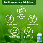 Vital Plan ginkgo biloba benefits