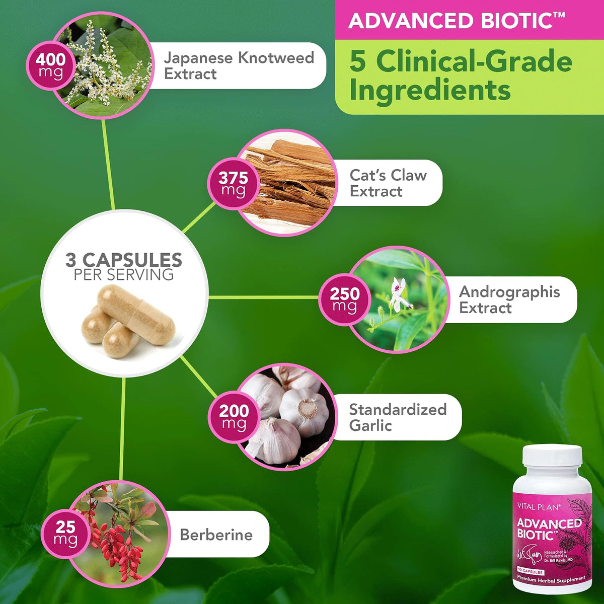 Vital Plan reishi health benefits