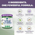 vital planet amino acids supplement