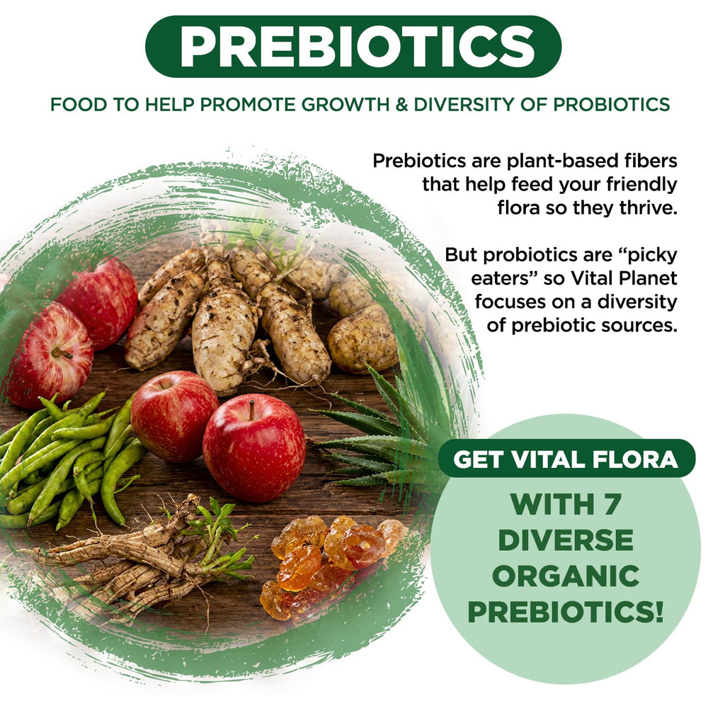 Vital Planet probiotics for seniors
