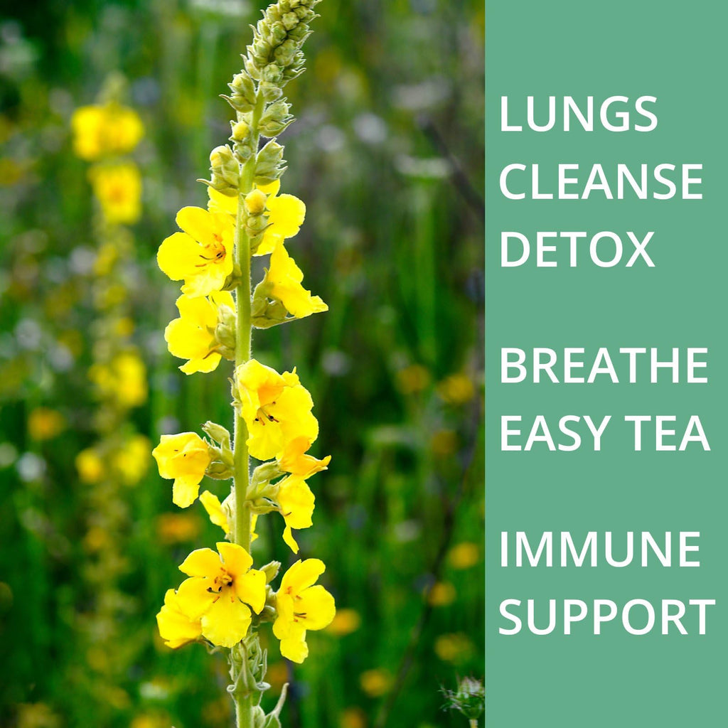 VitalForest herbal tea for relaxation
