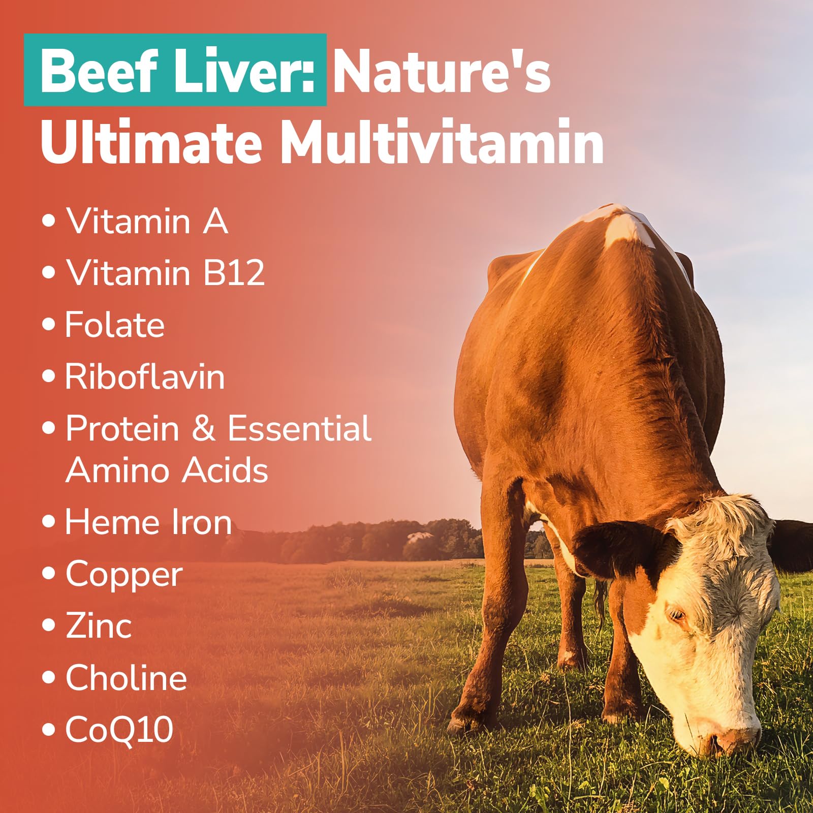 Vitalibre beef liver for overall wellness