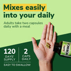 Vitalibre moringa for immune support