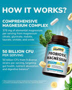 Vitalibre probiotics for daily wellness