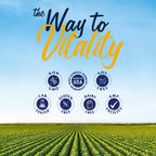 Vitalitown magnesium for bone strength