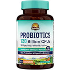 Vitalitown probiotics for digestive health