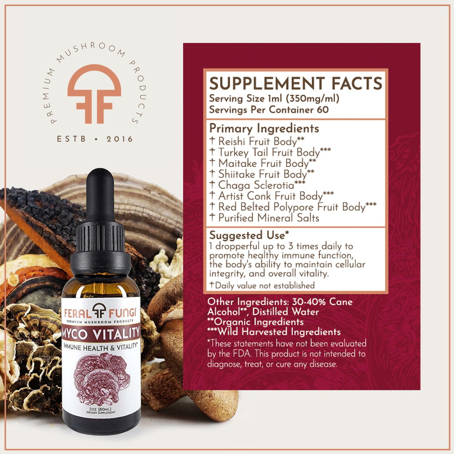vitality boost from mushroom extracts