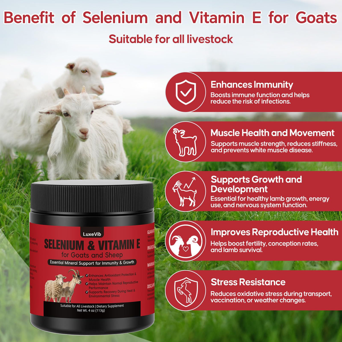 Vitality formula for healthy animals