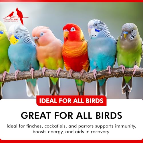 vitality support for feathered friends