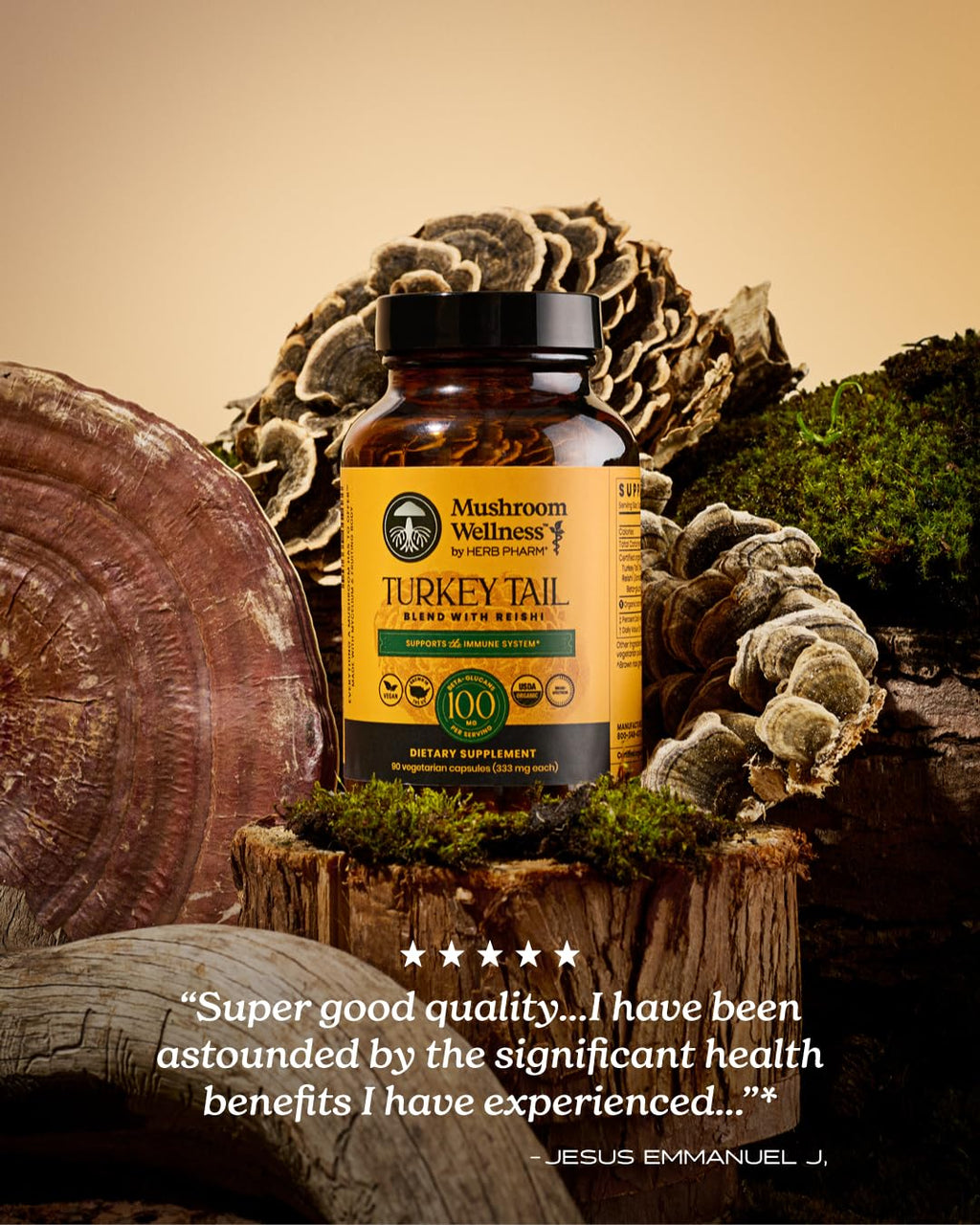vitality support with reishi mushrooms