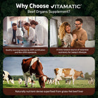 Vitamatic grass-fed liver extract