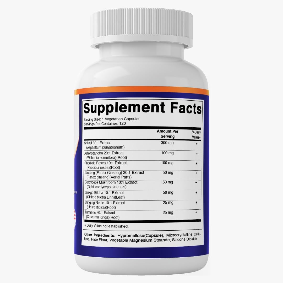 Vitamatic Shilajit Complex with Ginkgo