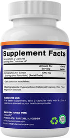 Vitamatic vegan-friendly Andrographis