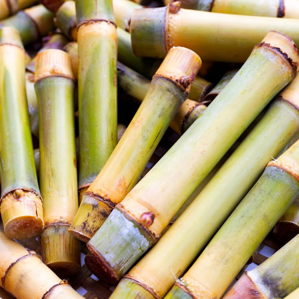 vitamin A bamboo extract supplement