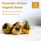 Vitamin A benefits with Maca Root