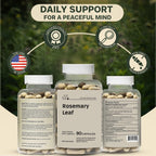Vitamin A from rosemary extract