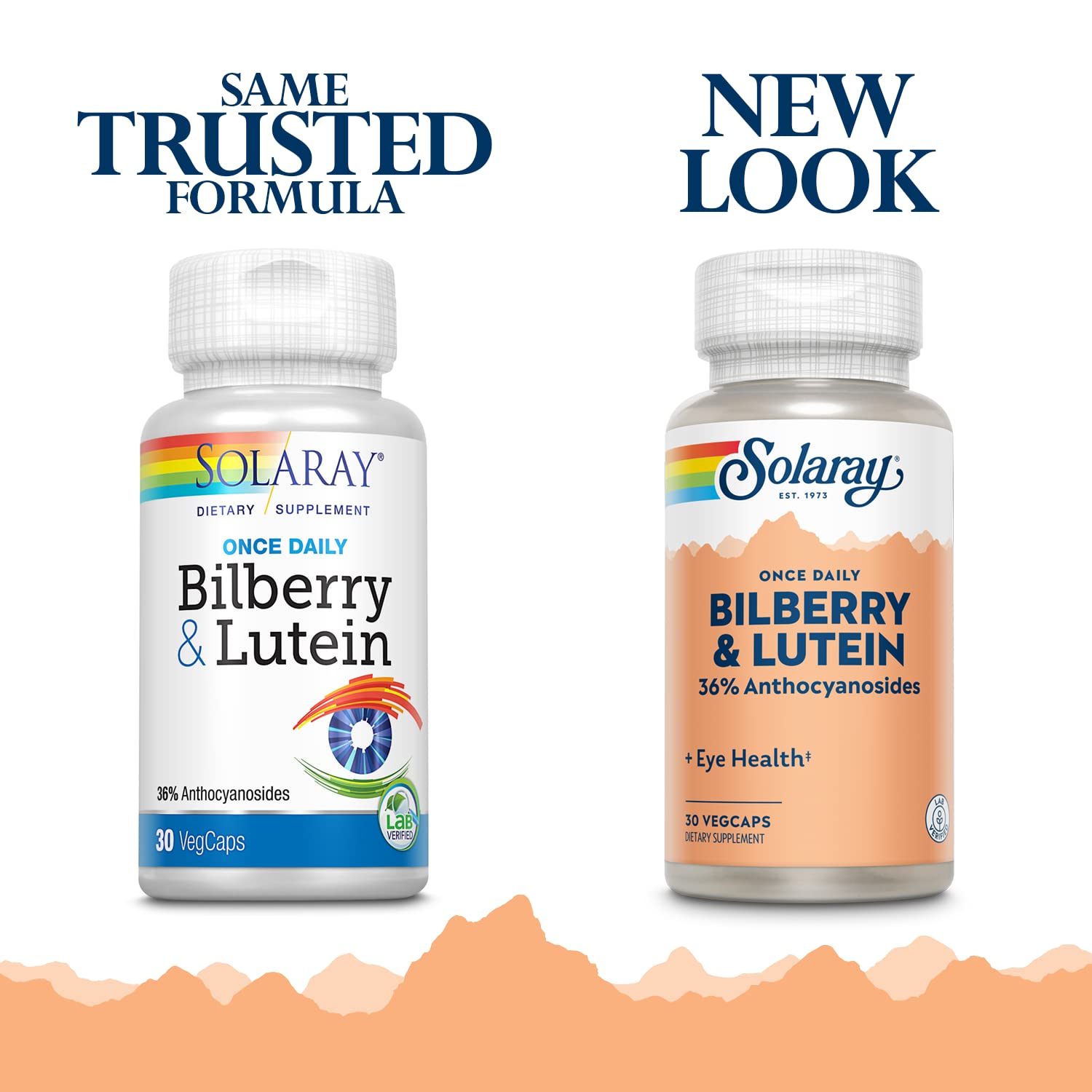 Vitamin A rich bilberry capsules
