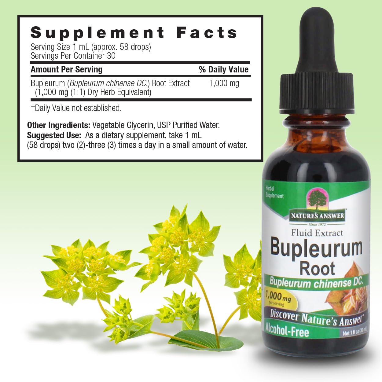 Vitamin A rich herbal remedy