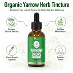 vitamin A rich yarrow tincture