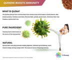 vitamin a supplement for vitality