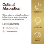 vitamin A supplement for wellness