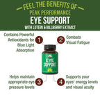 vitamin A supplements for vision support