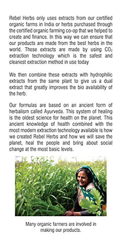 vitamin and mineral blend for brain