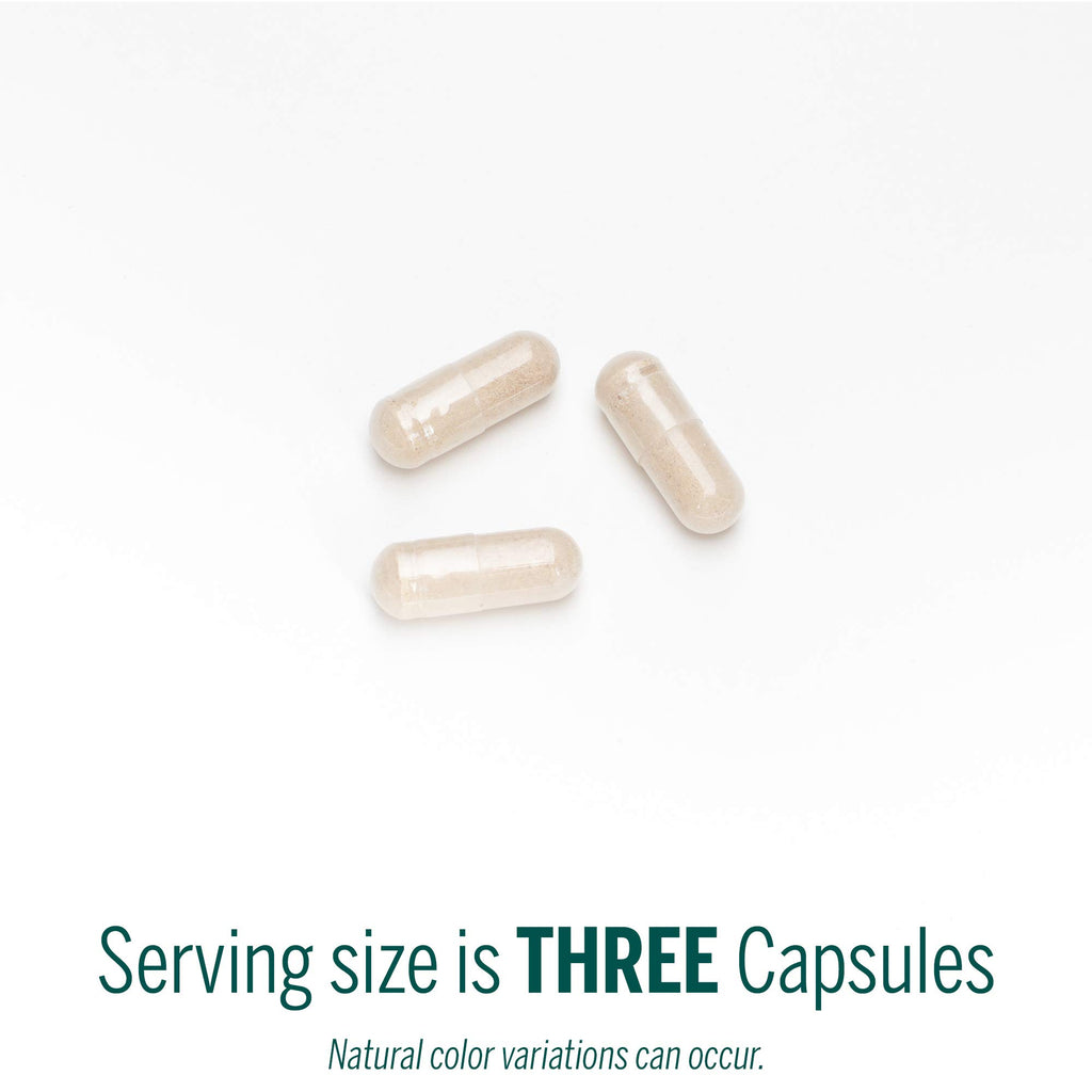 vitamin and mineral blend for gut health
